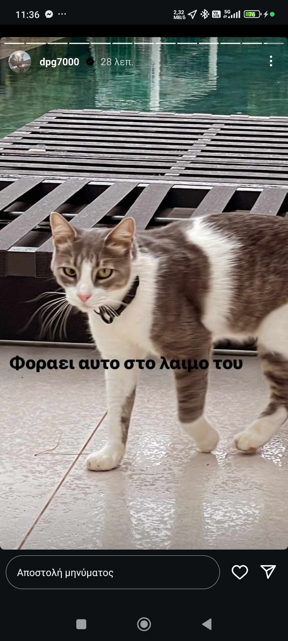 Γιαννακόπουλος: Η νέα πληροφορία για τον Φρι που χάθηκε (pic) | ΠΑΟ νέα ...