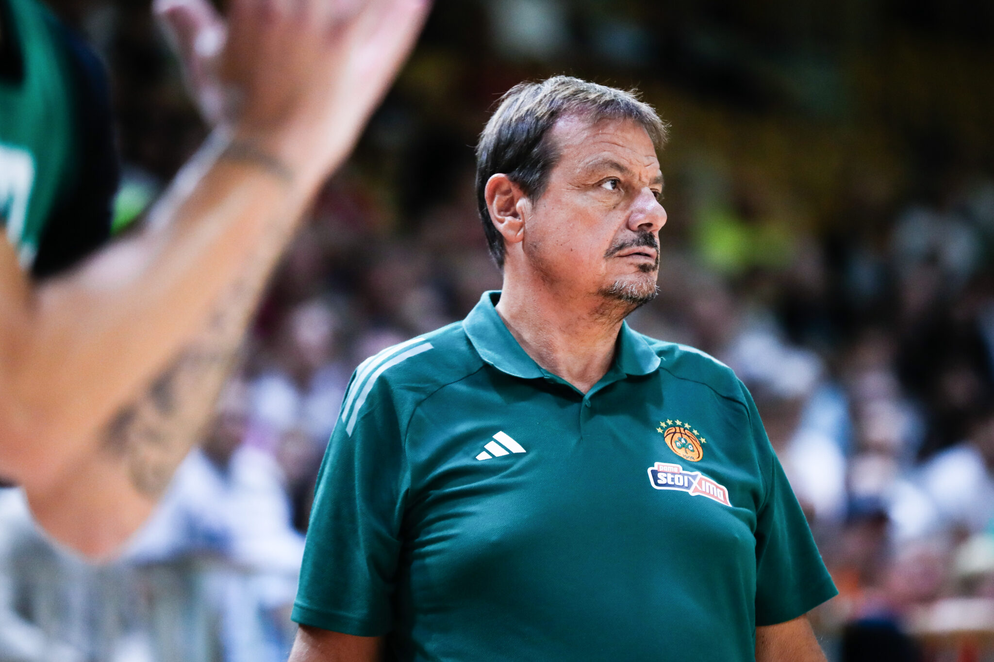 Παναθηναϊκός: Έρχεται το νέο... τριπλό χτύπημα του Αταμάν! | ΠΑΟ νέα ...