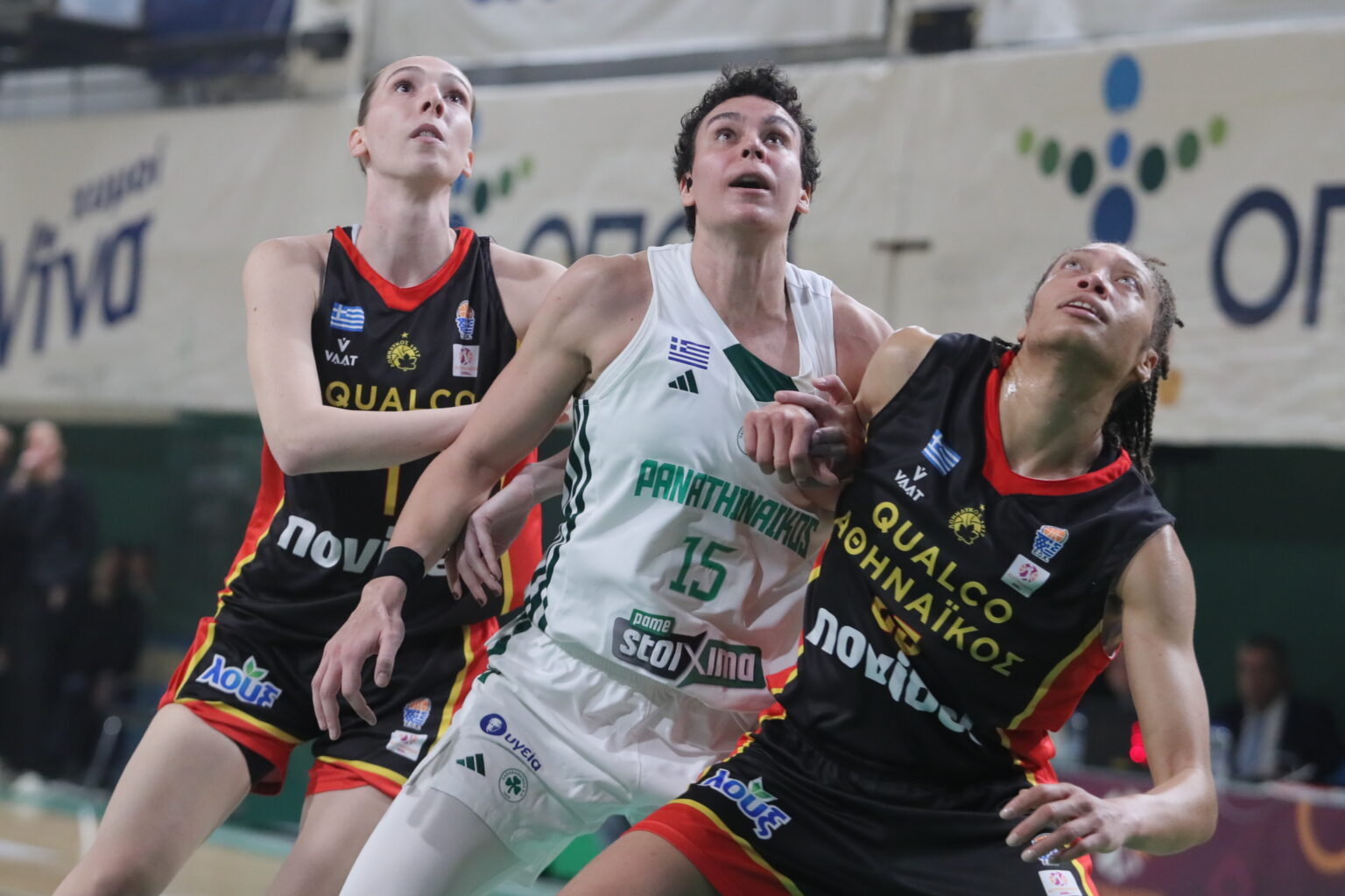 Παναθηναϊκος: ΠΑΝΑΘΗΝΑΪΚΟΣ ΜΠΑΣΚΕΤ ΓΥΝΑΙΚΩΝ | Newspao.gr