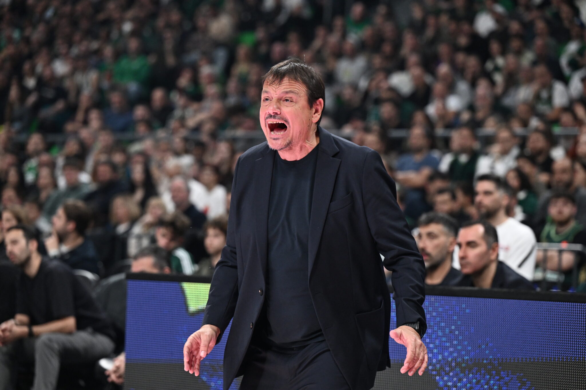 Λακωνικός Αταμάν: Οι δηλώσεις μετά το Παναθηναϊκός – Αρμάνι | ΠΑΟ νέα ...